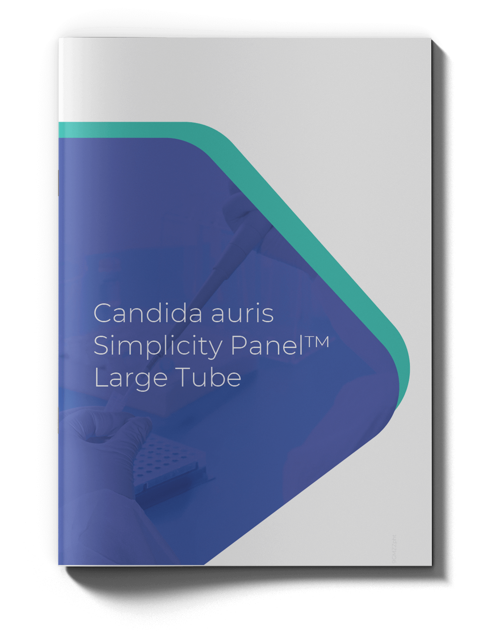 Candida auris - Simplicity Panel™